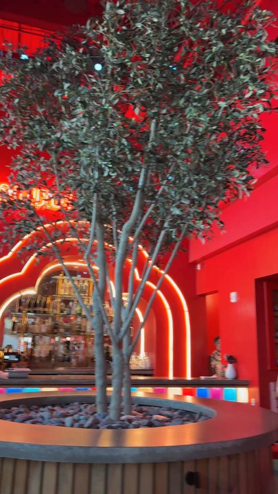 NOCHE WOODFIRED GRILL & AGAVE BAR - Updated April 2025 - 303 Photos ...