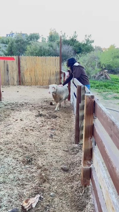 LONGSHADOW RANCH VINEYARD AND WINERY - Updated July 2025 - 678 Photos ...