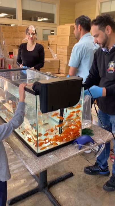 MISSION RANCH MARKET - Updated January 2026 - 502 Photos & 710 Reviews ...