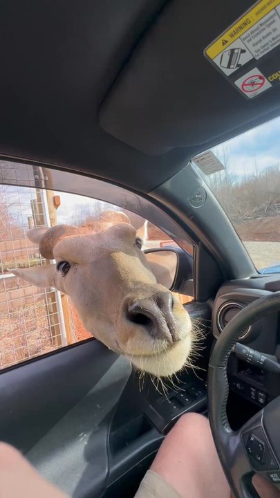 ATLANTA SAFARI PARK - Updated June 2026 - 76 Photos & 13 Reviews - 6210 ...