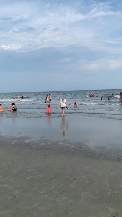 COLIGNY BEACH PARK - Updated August 2025 - 393 Photos & 139 Reviews - 1 ...