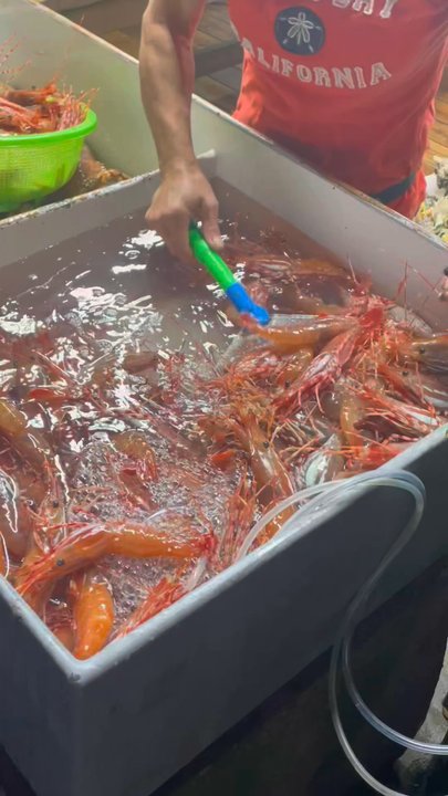 DORY FISHING FLEET MARKET - Updated December 2025 - 403 Photos & 140 ...