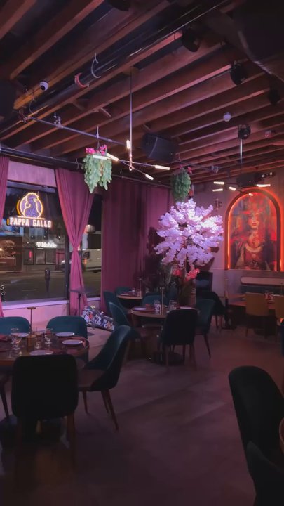 PAPPA GALLO - Updated May 2025 - 355 Photos & 185 Reviews - 273 Sunrise ...