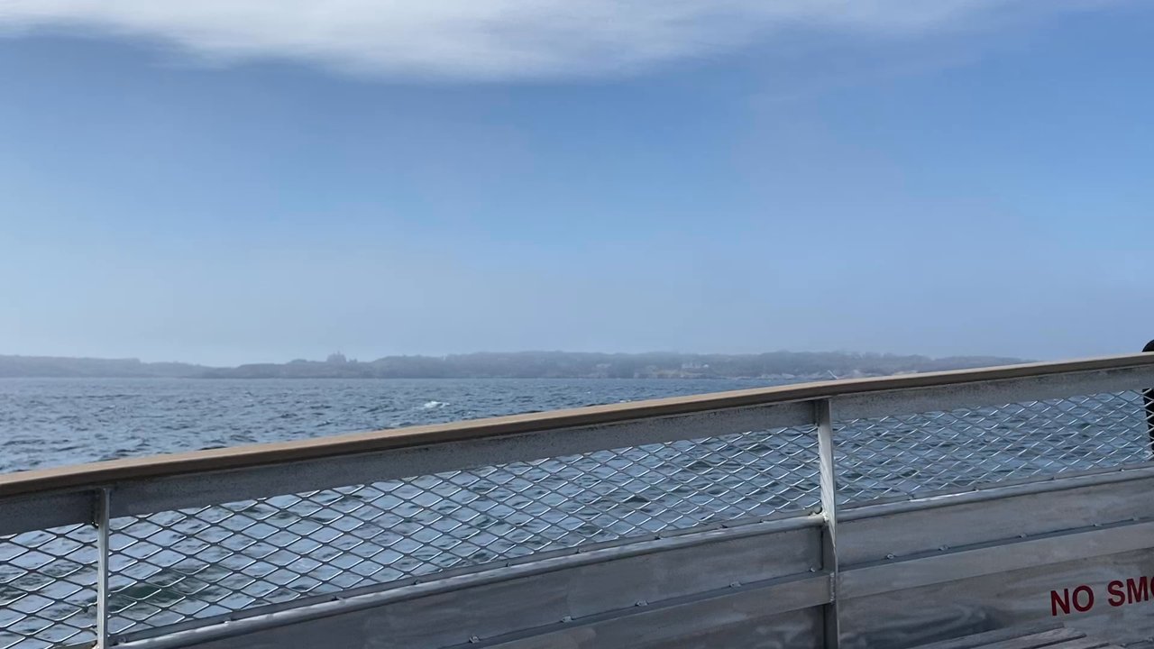 COASTAL QUEEN CRUISES - Updated March 2026 - 224 Photos & 34 Reviews ...