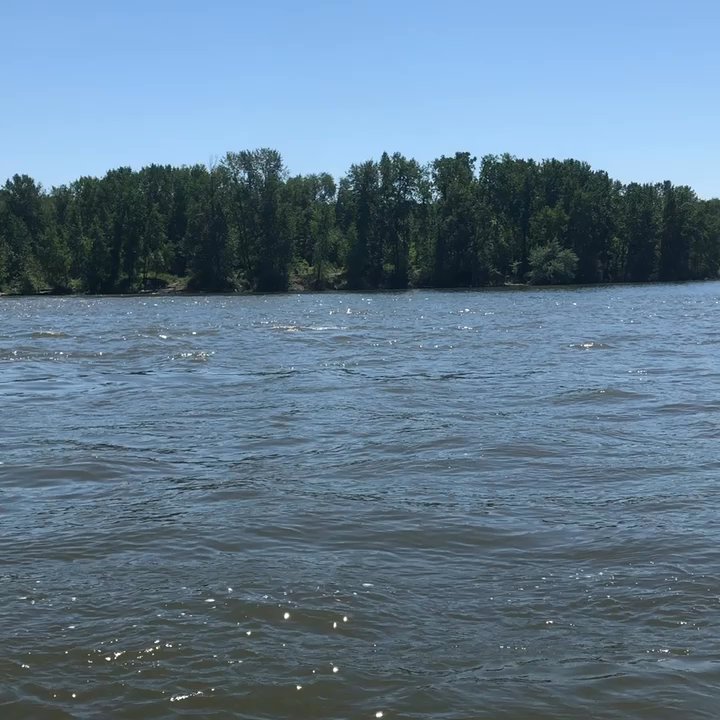 KELLEY POINT PARK - Updated October 2025 - 56 Photos & 46 Reviews ...