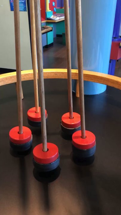 SCIENCE CENTRAL - Updated June 2026 - 60 Photos & 22 Reviews - 1950 N ...