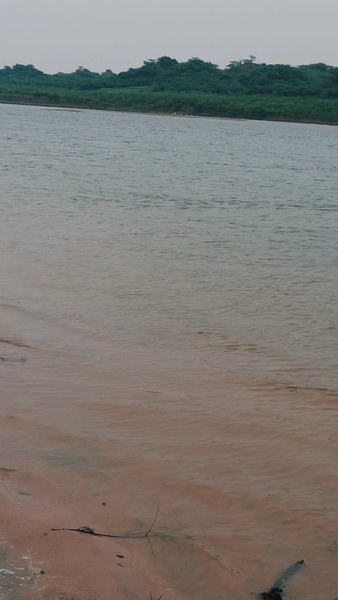 Chambal: The Hidden Gem of Madhya Pradesh for Wildlife Lovers