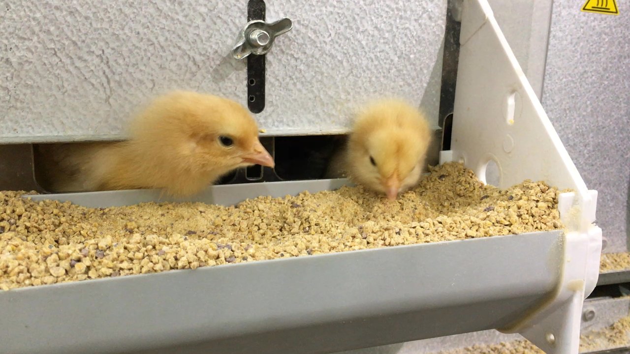 IFA COUNTRY STORE - RIVERTON - Updated November 2025 - 12 Photos & 17 ...