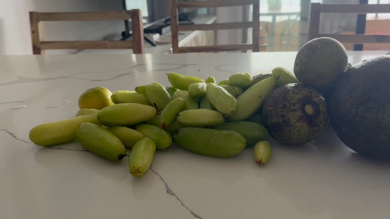 ONO ORGANIC FARMS - Updated January 2026 - 101 Photos & 52 Reviews ...