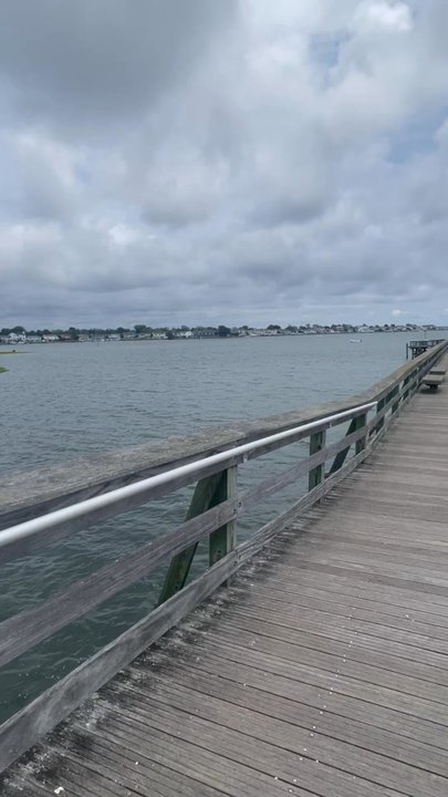 NORMAN J LEVY PARK & PRESERVE - Updated December 2024 - 501 Photos & 68 ...