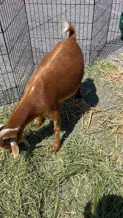 CAMBRIAN BRANCH LIBRARY - Updated December 2025 - 48 Photos & 49 ...