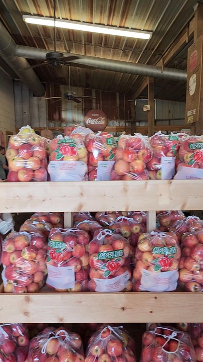 BJ REECE ORCHARDS - Updated September 2025 - 462 Photos & 197 Reviews ...