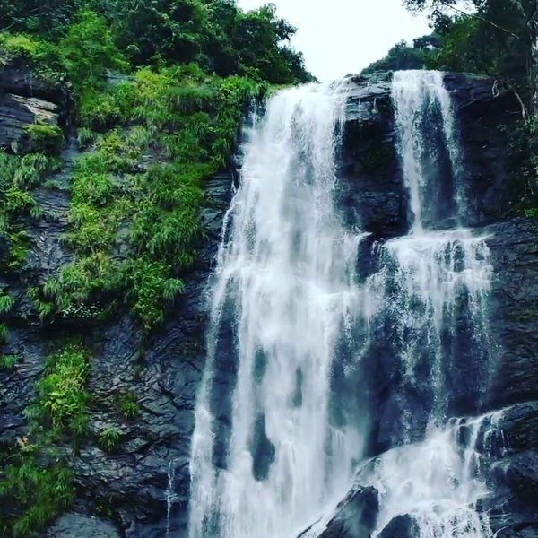 Kuruva Island: A Hidden Gem in the Heart of Wayanad