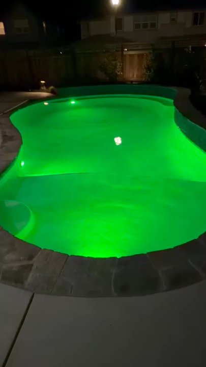 POOL & LANDSCAPE DEVELOPMENT - Updated April 2026 - 389 Photos & 85 ...