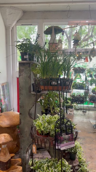 RUIBAL’S PLANTS OF TEXAS - Updated June 2026 - 349 Photos & 118 Reviews ...
