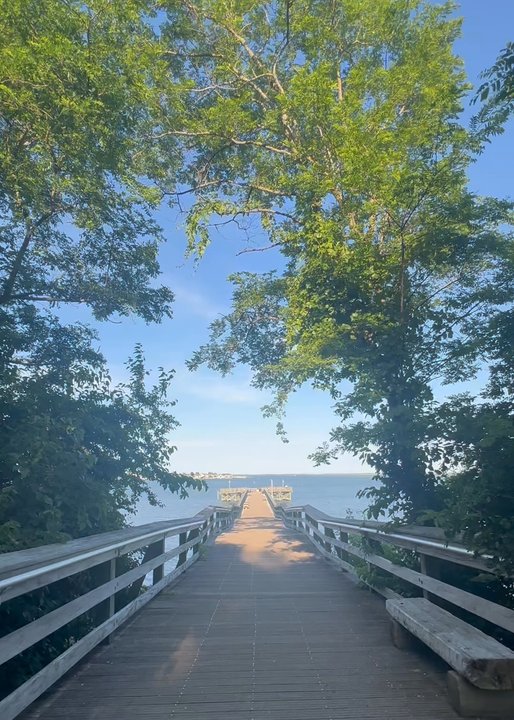 NORMAN J LEVY PARK & PRESERVE - Updated December 2025 - 534 Photos & 72 ...