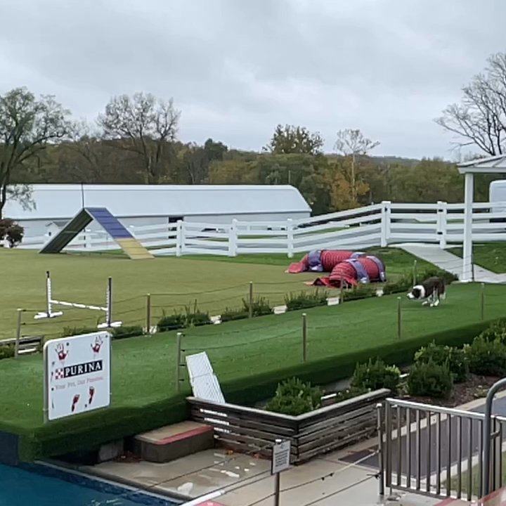 PURINA FARMS - TEMP. CLOSED - Updated August 2025 - 161 Photos & 54 ...