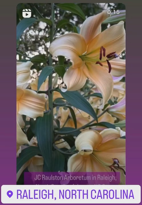 JC RAULSTON ARBORETUM - Updated December 2025 - 693 Photos & 113 ...