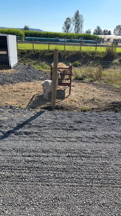 KNUTSON FARMS - Updated April 2025 - 110 Photos & 36 Reviews - 16406 ...