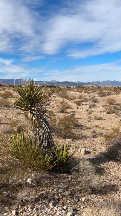 MOUNTAIN’S EDGE REGIONAL PARK - Updated January 2026 - 453 Photos & 97 ...