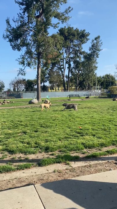 FULLERTON POOCH PARK - Updated April 2026 - 191 Photos & 287 Reviews ...