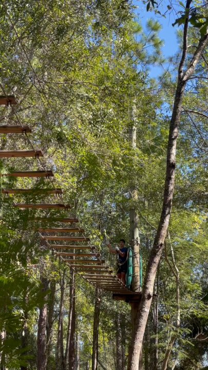 ORLANDO TREE TREK - Updated May 2025 - 224 Photos & 162 Reviews - 7625 ...