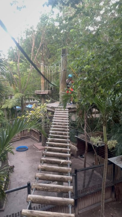 TREETOP TREKKING MIAMI - Updated May 2026 - 32 Photos & 24 Reviews ...