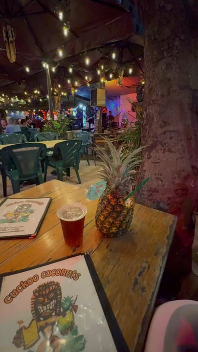 CUCKOO COCONUTS WAIKIKI - Updated October 2025 - 1078 Photos & 799 ...