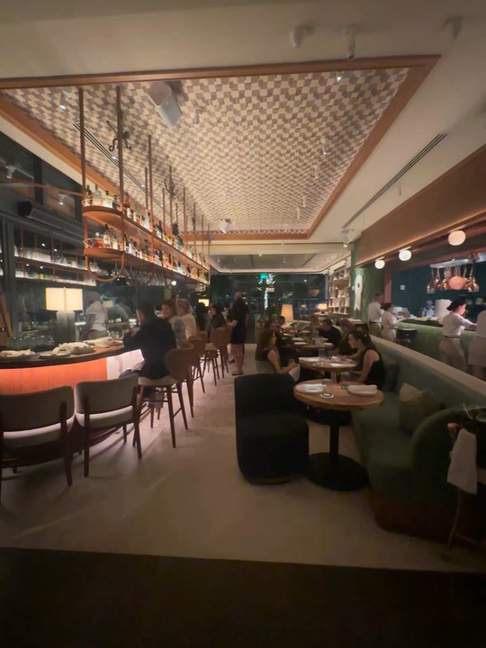 KOKO - Updated April 2025 - 560 Photos & 238 Reviews - 2856 Tigertail ...