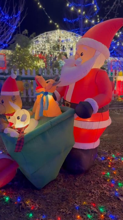 FREEMAN LIGHTS - Updated December 2025 - 150 Freeman Pl, Freeman ...