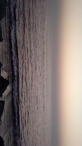 Tithal Beach: A Guide to the Black Sand Paradise of Gujarat