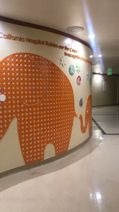DIGNITY HEALTH - CALIFORNIA HOSPITAL MEDICAL CENTER - Updated May 2026 ...