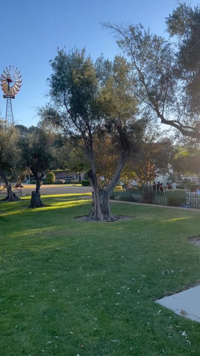 STRATHEARN HISTORICAL PARK & MUSEUM - Updated September 2025 - 96 ...