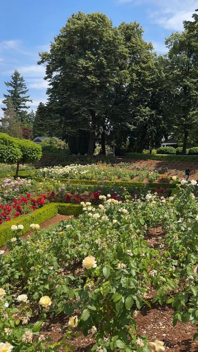 PENINSULA PARK - Updated June 2026 - 331 Photos & 111 Reviews - 700 N ...