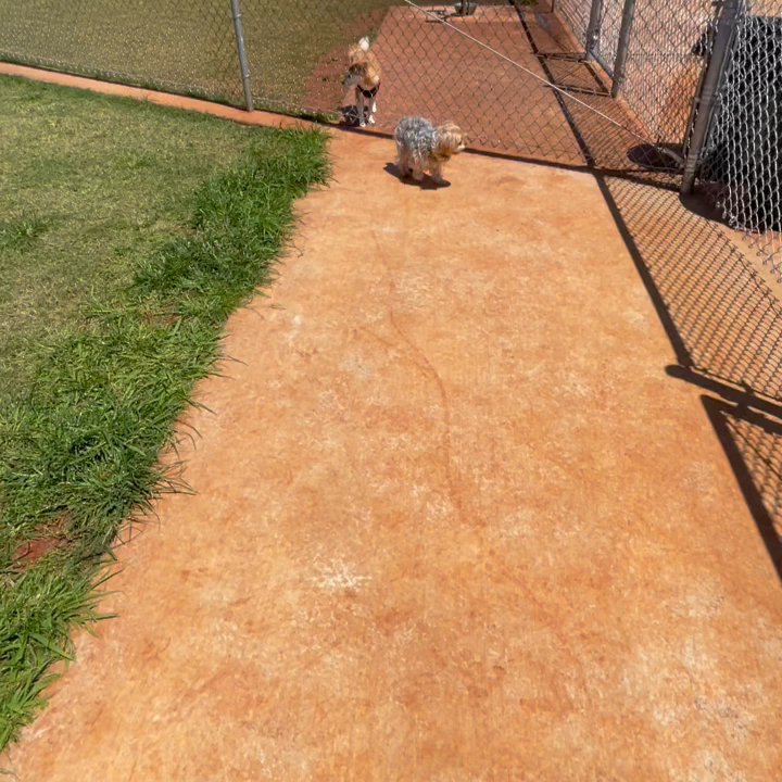 PATSY T. MINK CENTRAL OAHU REGIONAL PARK - Updated December 2025 - 708 ...