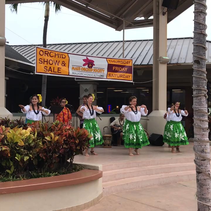 MAUI MALL VILLAGE - Updated December 2025 - 271 Photos & 47 Reviews ...