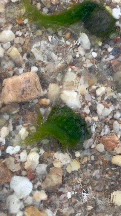 ORIENT BEACH STATE PARK - Updated November 2025 - 122 Photos & 42 ...