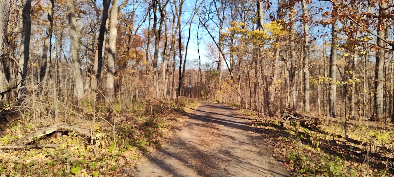 MEACHAM GROVE FOREST PRESERVE - Updated April 2026 - 58 Photos & 15 ...