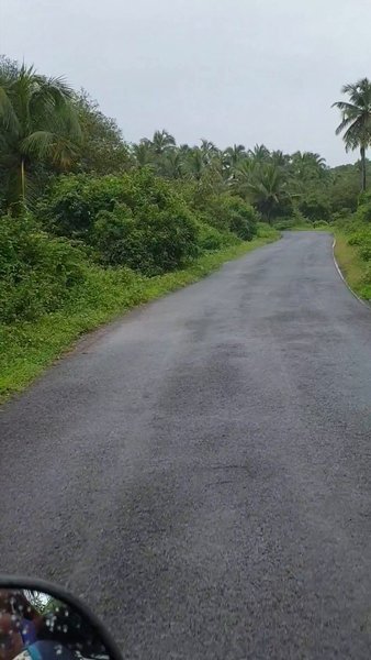 Galgibaga Beach: A Guide To Goa’s Turtle Paradise