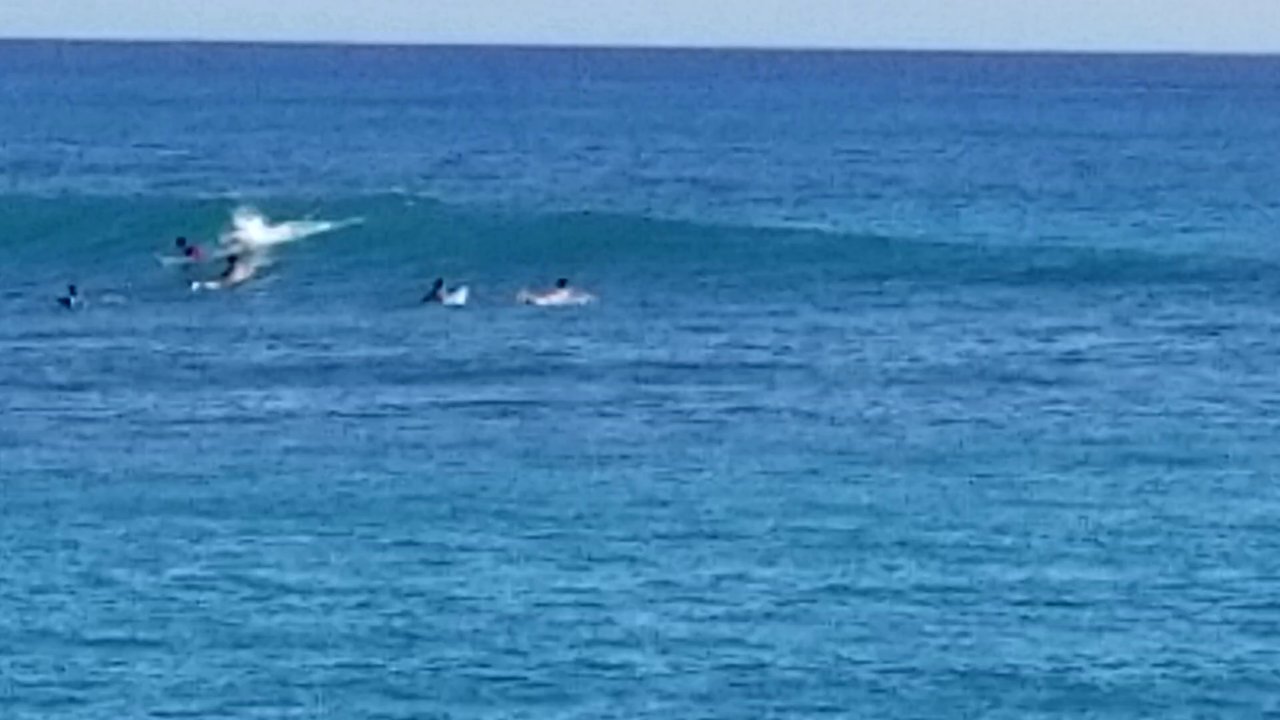 POINT PANIC BEACH PARK - Updated December 2025 - 469 Photos & 23 ...