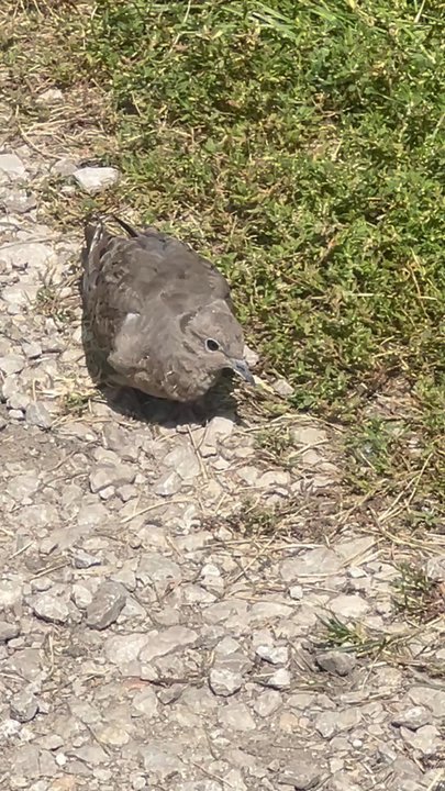 SPRING VALLEY NATURE CENTER & HERITAGE FARM - Updated January 2026 ...