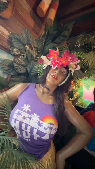 HULA HUT - Updated May 2025 - 1853 Photos & 2187 Reviews - 3825 Lake ...