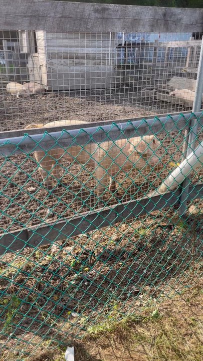 CONFREDA GREENHOUSES & FARMS - Updated September 2025 - 127 Photos & 59 ...