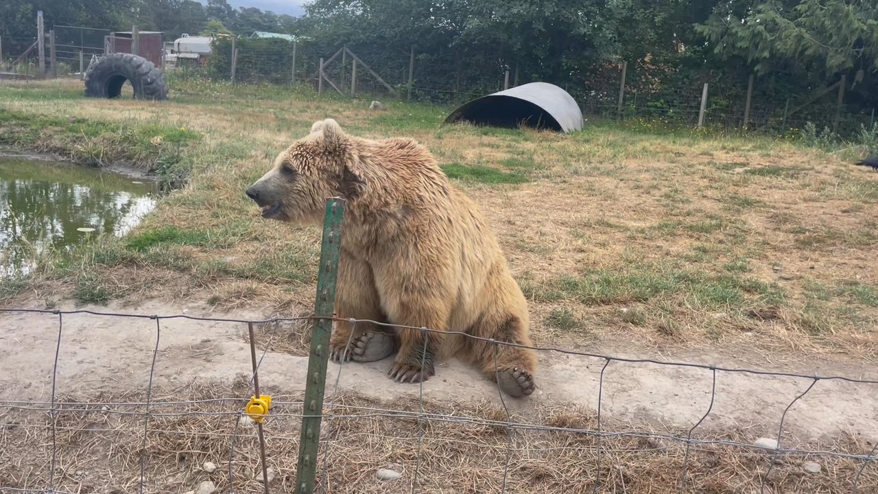 OLYMPIC GAME FARM - Updated April 2025 - 860 Photos & 372 Reviews ...