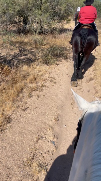 MACDONALD’S RANCH - Updated April 2025 - 513 Photos & 286 Reviews ...