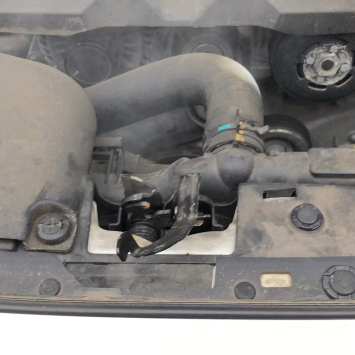 GRAND SUBARU - Updated May 2026 - 59 Photos & 320 Reviews - 125 W Grand ...