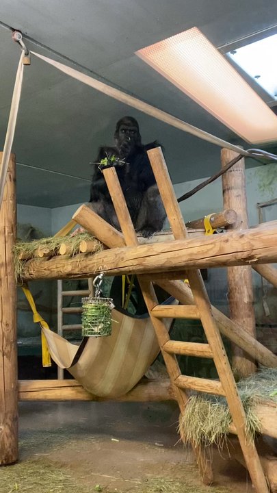 UTAH’S HOGLE ZOO - Updated June 2026 - 735 Photos & 308 Reviews - 2600 ...