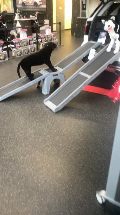 WEATHERTECH - Updated December 2025 - 273 Photos & 476 Reviews - 841 ...