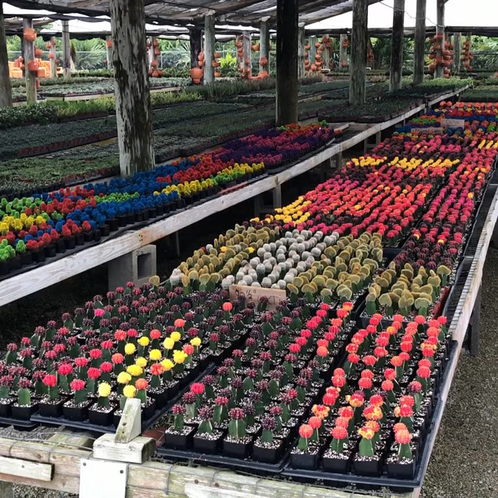 ISAAC FARMS - Updated January 2025 - 446 Photos & 111 Reviews - 18800 ...