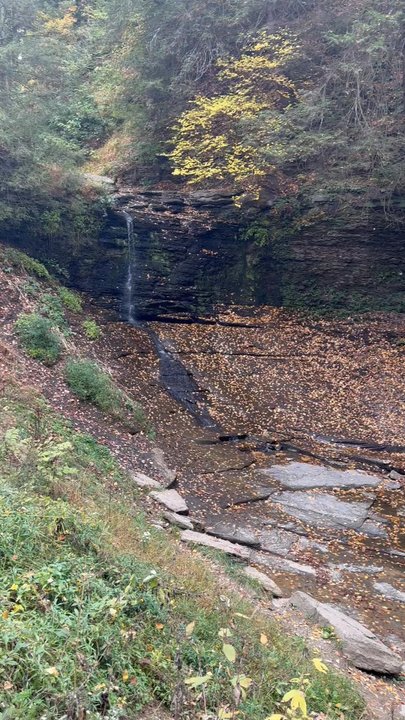 FALL RUN PARK - Updated May 2026 - 123 Photos & 29 Reviews - 187 Falls ...
